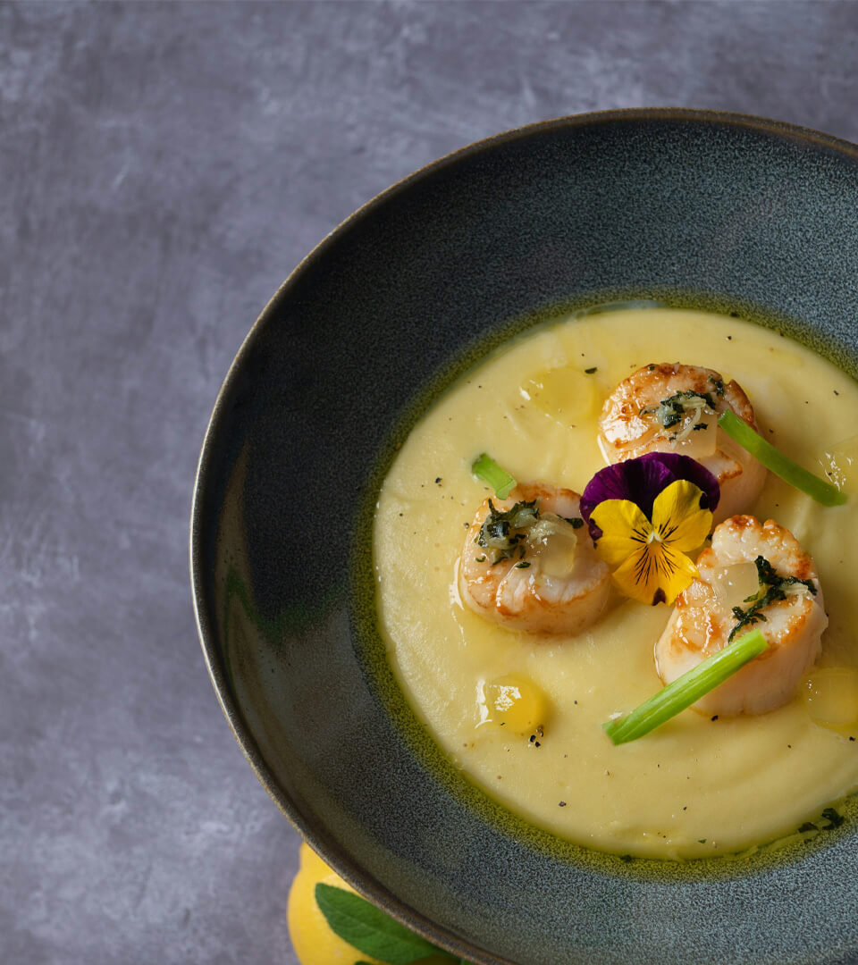 Primitivo Rosé Salento IGT - Schenk Italy